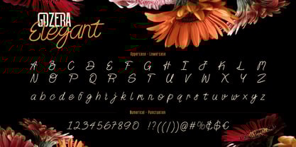 Gozera Font | Webfont & Desktop | MyFonts