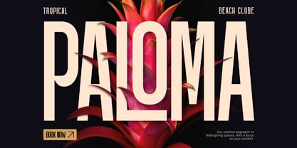 Gozera Font | Webfont & Desktop | MyFonts