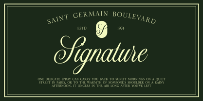 Madison Sauvage Font | Webfont & Desktop | MyFonts