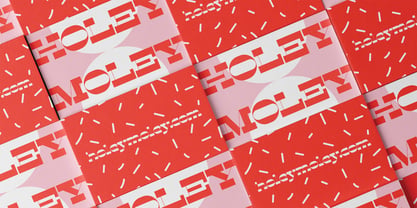 Envy Font | Webfont & Desktop | MyFonts