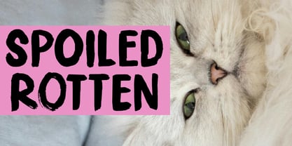 Spoiled Rotten Font | Webfont & Desktop | MyFonts