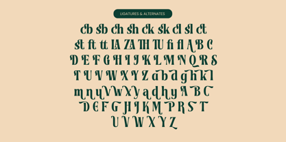 Vintage Mentor Font | Webfont & Desktop | MyFonts