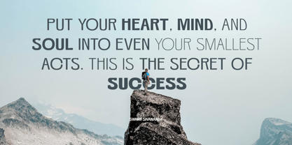 Musero Font | Webfont & Desktop | MyFonts