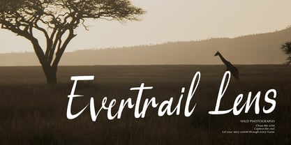 Serena Note Font | Webfont & Desktop | MyFonts