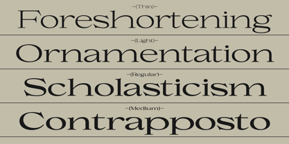 UNCMMN Stretched Font | Webfont & Desktop | MyFonts