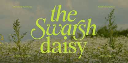 Swarsh Daisy Font | Webfont & Desktop | MyFonts