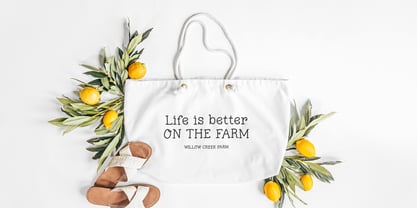 Heartwarming Serif Font | Webfont & Desktop | MyFonts