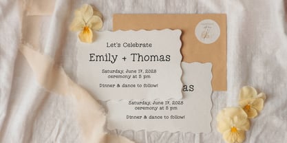 Heartwarming Serif Font | Webfont & Desktop | MyFonts