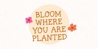 Heartwarming Serif Font | Webfont & Desktop | MyFonts