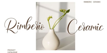 Sandara Script Font | Webfont & Desktop | MyFonts