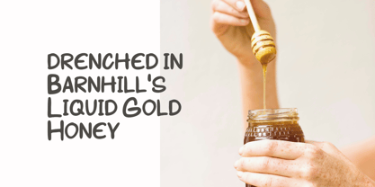 Vosena Font | Webfont & Desktop | MyFonts