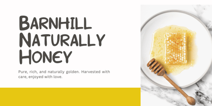 Vosena Font | Webfont & Desktop | MyFonts