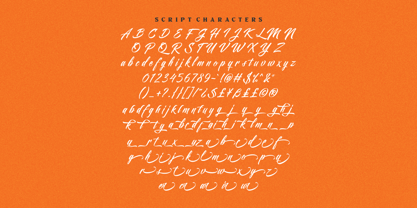 Pastel Trunk Font | Webfont & Desktop | MyFonts