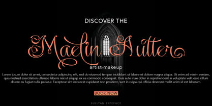 Sullyan Font | Webfont & Desktop | MyFonts