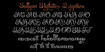 Sullyan Font | Webfont & Desktop | MyFonts