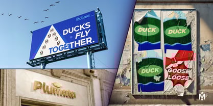 Mallard Font | Webfont & Desktop | MyFonts