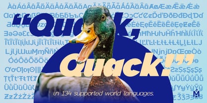 Mallard Font | Webfont & Desktop | MyFonts