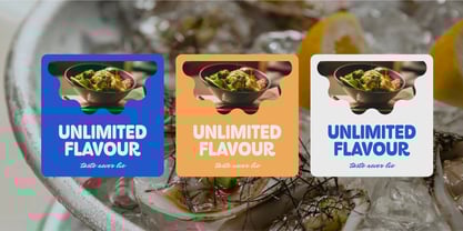 Snarky Font | Webfont & Desktop | MyFonts