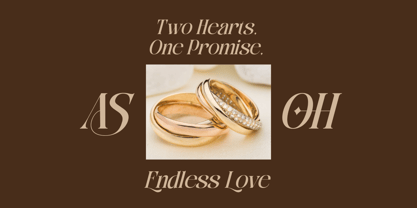 Bitho Luxury Font | Webfont & Desktop | MyFonts