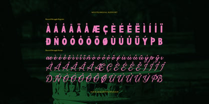 Record Struggle Script Font | Webfont & Desktop | MyFonts