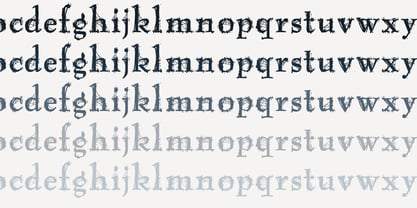 ZP Antique Webbing Font | Webfont & Desktop | MyFonts