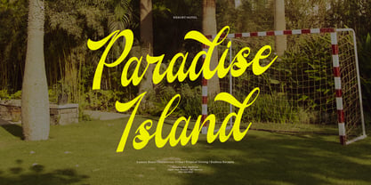 Regarding Wayback Font | Webfont & Desktop | MyFonts
