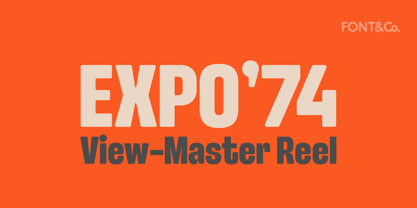 Slinky Font | Webfont & Desktop | MyFonts