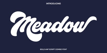 Meadow Font | Webfont & Desktop | MyFonts