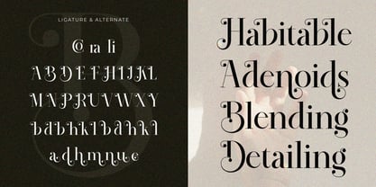 Coraline Font | Webfont & Desktop | MyFonts