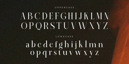 Coraline Font | Webfont & Desktop | MyFonts