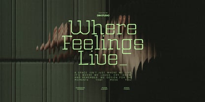 Witness Font | Webfont & Desktop | MyFonts