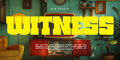 Witness Font | Webfont & Desktop | MyFonts
