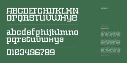 Witness Font | Webfont & Desktop | MyFonts
