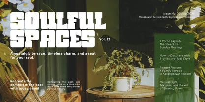 Witness Font | Webfont & Desktop | MyFonts