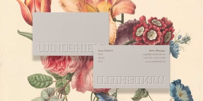 Witness Font | Webfont & Desktop | MyFonts