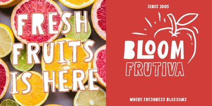 Peach Coast Font | Webfont & Desktop | MyFonts