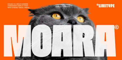 Moara Font | Webfont & Desktop | MyFonts