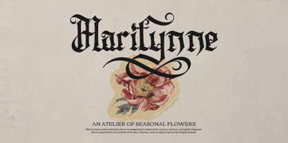 Rexstorm Font | Webfont & Desktop | MyFonts