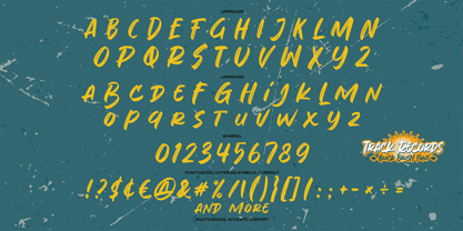 Track Records Font | Webfont & Desktop | MyFonts