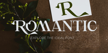 Meylo Roman Font | Webfont & Desktop | MyFonts
