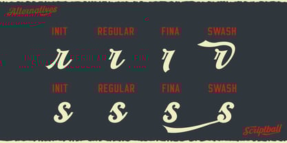 Scriptball Font | Webfont & Desktop | MyFonts