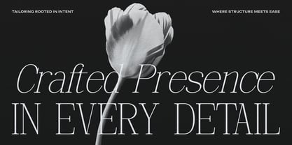 Deforta Font | Webfont & Desktop | MyFonts