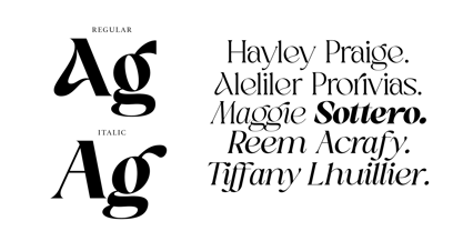 Sakem Font | Webfont & Desktop | MyFonts
