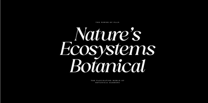 Sakem Font | Webfont & Desktop | MyFonts