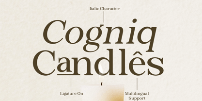 Briska Font | Webfont & Desktop | MyFonts