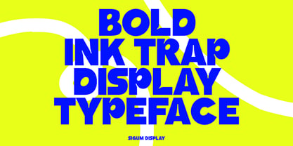 Sigum Font | Webfont & Desktop | MyFonts