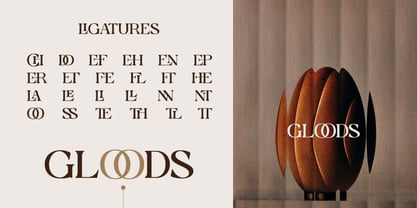 The Lencier Font | Webfont & Desktop | MyFonts