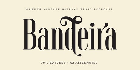 Condensed Serif Font