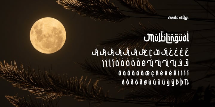 Seribu Bulan Font | Webfont & Desktop | MyFonts