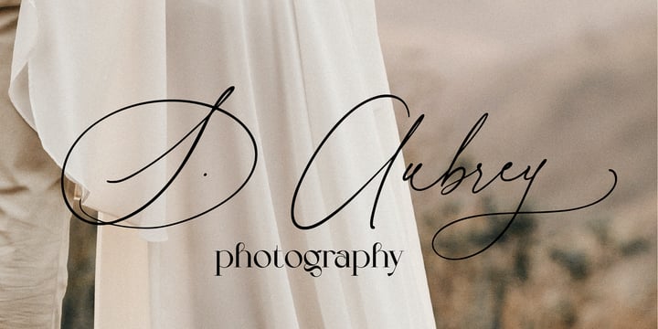 Honey Vineyard Font | Webfont & Desktop | MyFonts